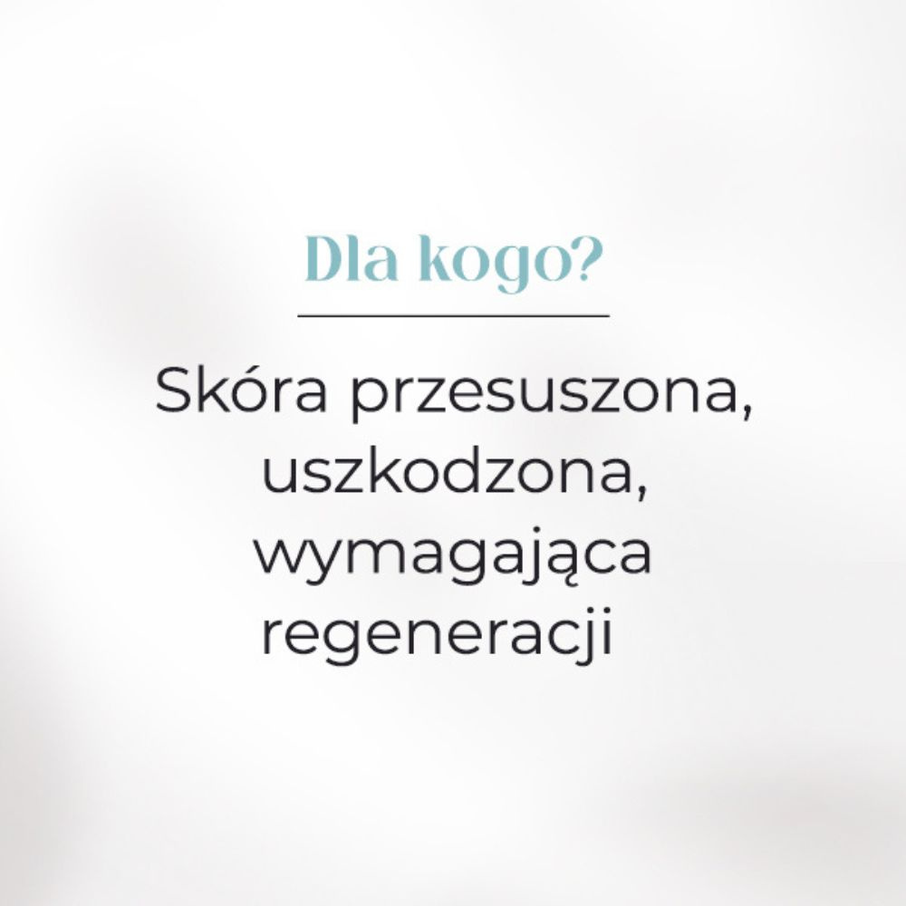 REPAIR Day Kit from Clochee